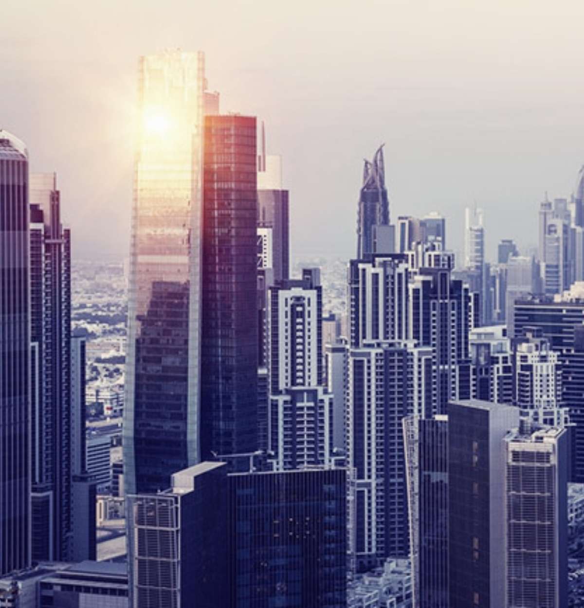 Perfect India Realty - Best Real Estate Company In Gurgaon